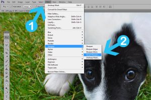 Sharpening Techniques in Photoshop - Dreamstale