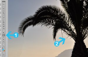 4 Ways to Select Objects in Photoshop - Dreamstale