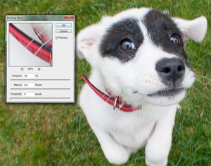 Sharpening Techniques in Photoshop - Dreamstale