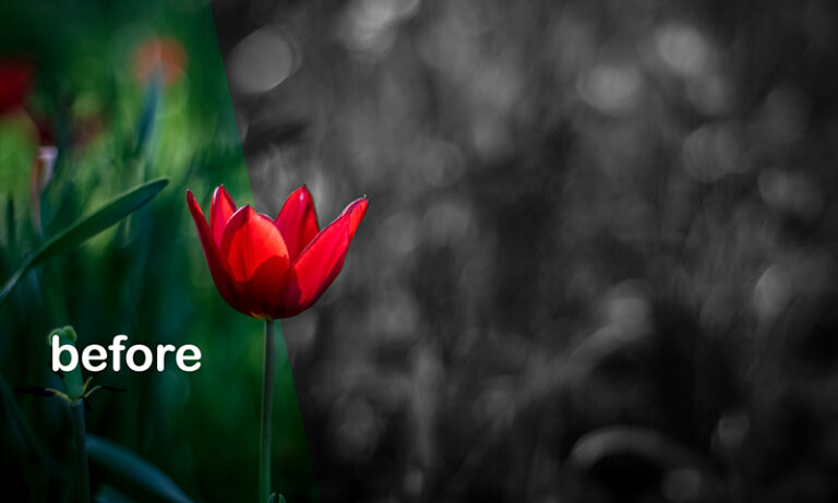 Color Splash Effect Tutorial in Photoshop - Dreamstale