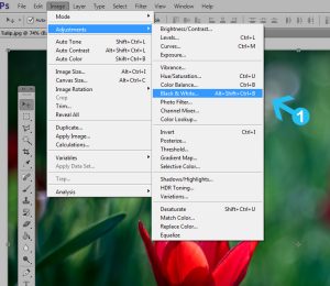 Color Splash Effect Tutorial in Photoshop - Dreamstale