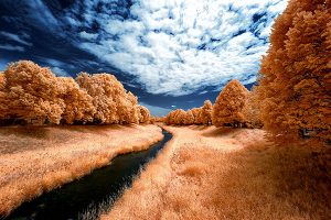 33 Amazing Near-Infrared Photos - Dreamstale