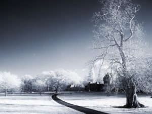 33 Amazing Near-Infrared Photos - Dreamstale