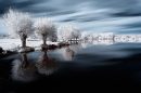 33 Amazing Near-Infrared Photos - Dreamstale