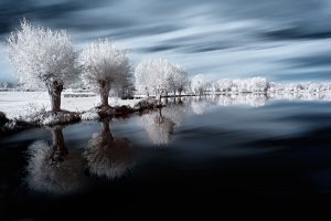 33 Amazing Near-Infrared Photos - Dreamstale