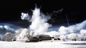 33 Amazing Near-Infrared Photos - Dreamstale