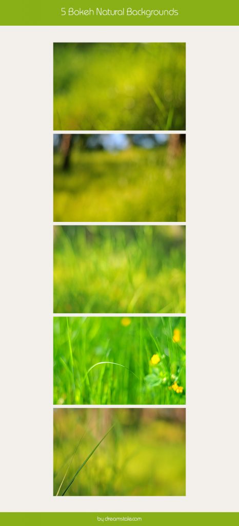 Free Blurred Spring Backgrounds - Dreamstale