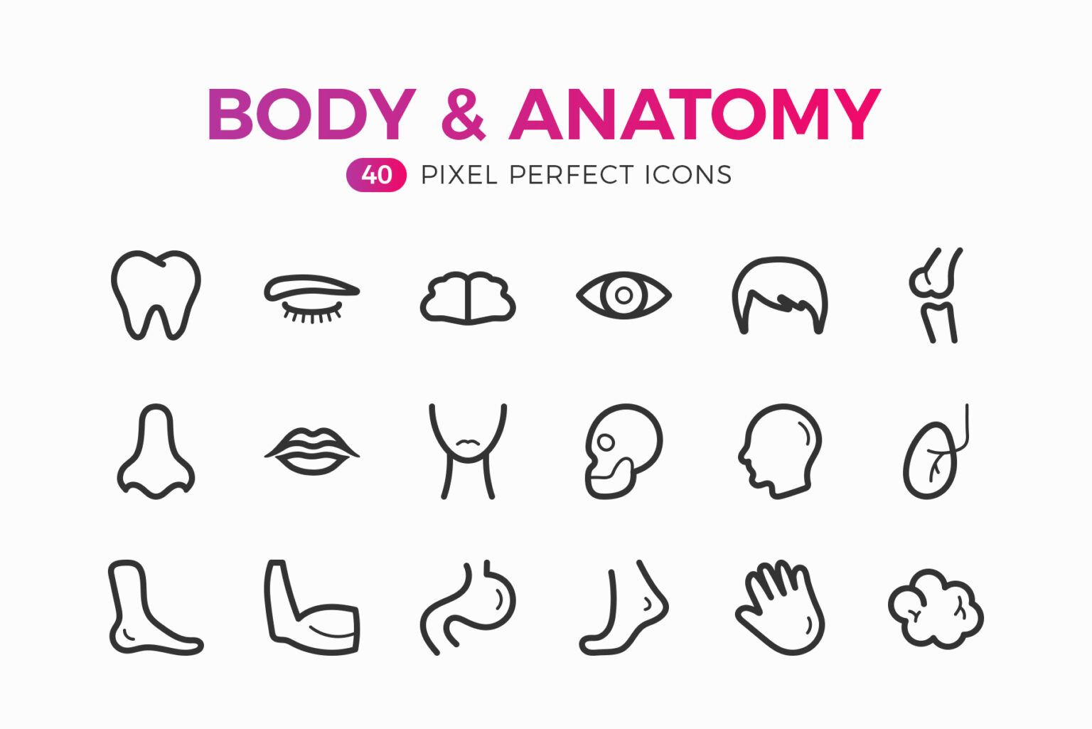 Anatomy & Body Icons - Dreamstale