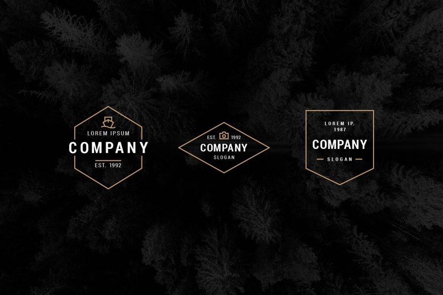 Minimalist Vector Logo Templates Bundle Vol. 1 - Dreamstale