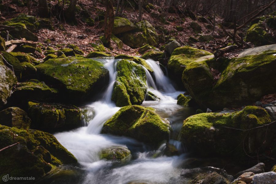 The Art of Capturing the Beauty of Waterfalls - Dreamstale